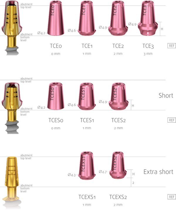 Conometric Fixation | TRATE