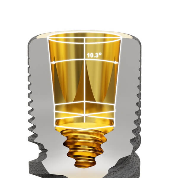 ROOTT R possibilities. What to expect? | TRATE